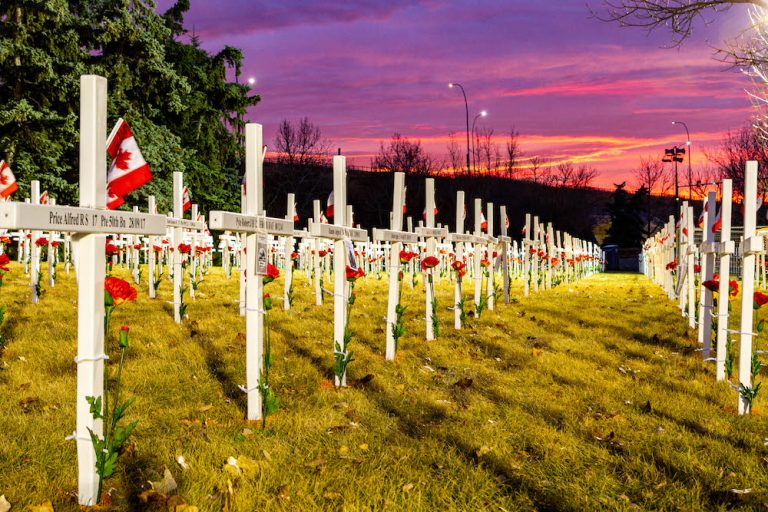 About Us | Field of Crosses